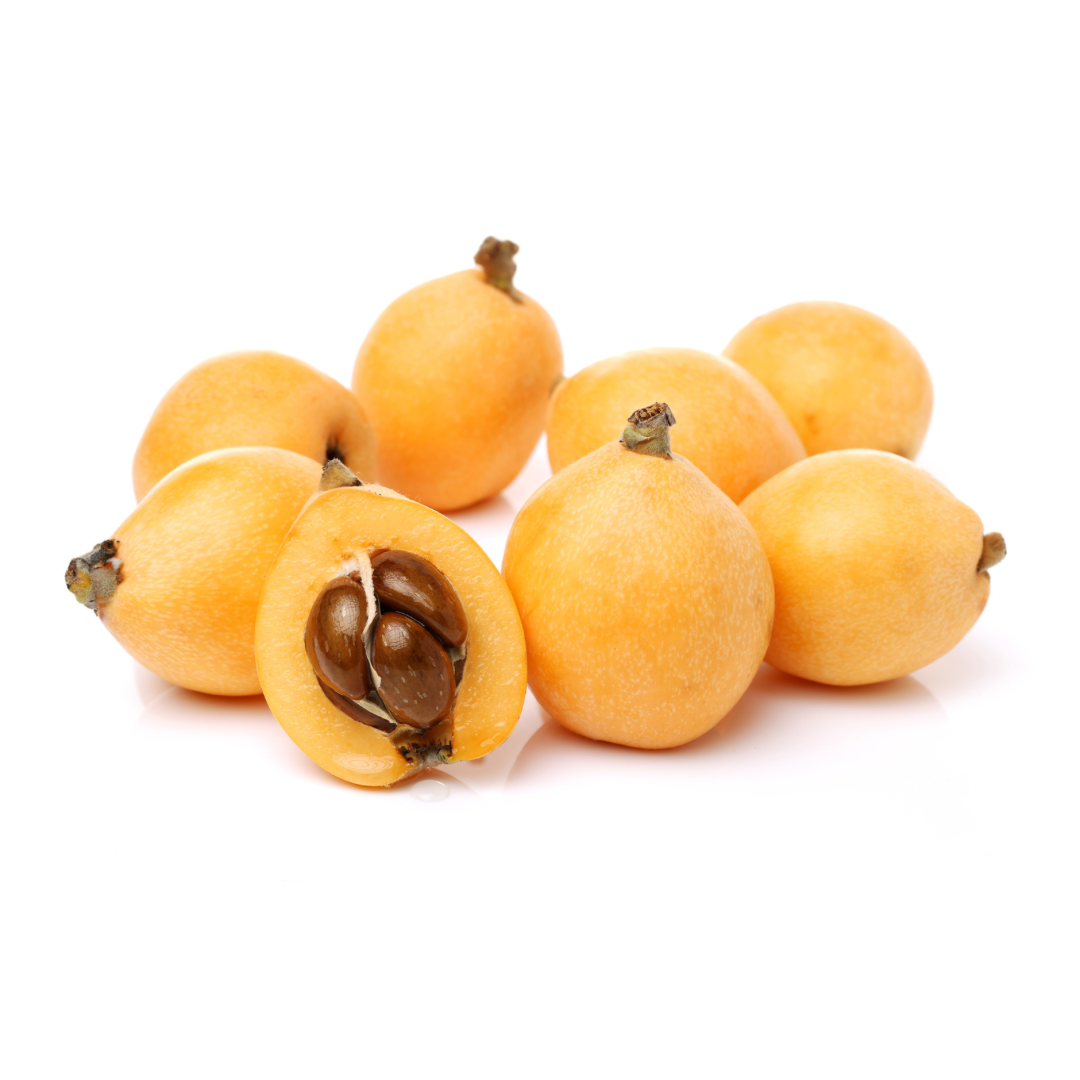 Loquat