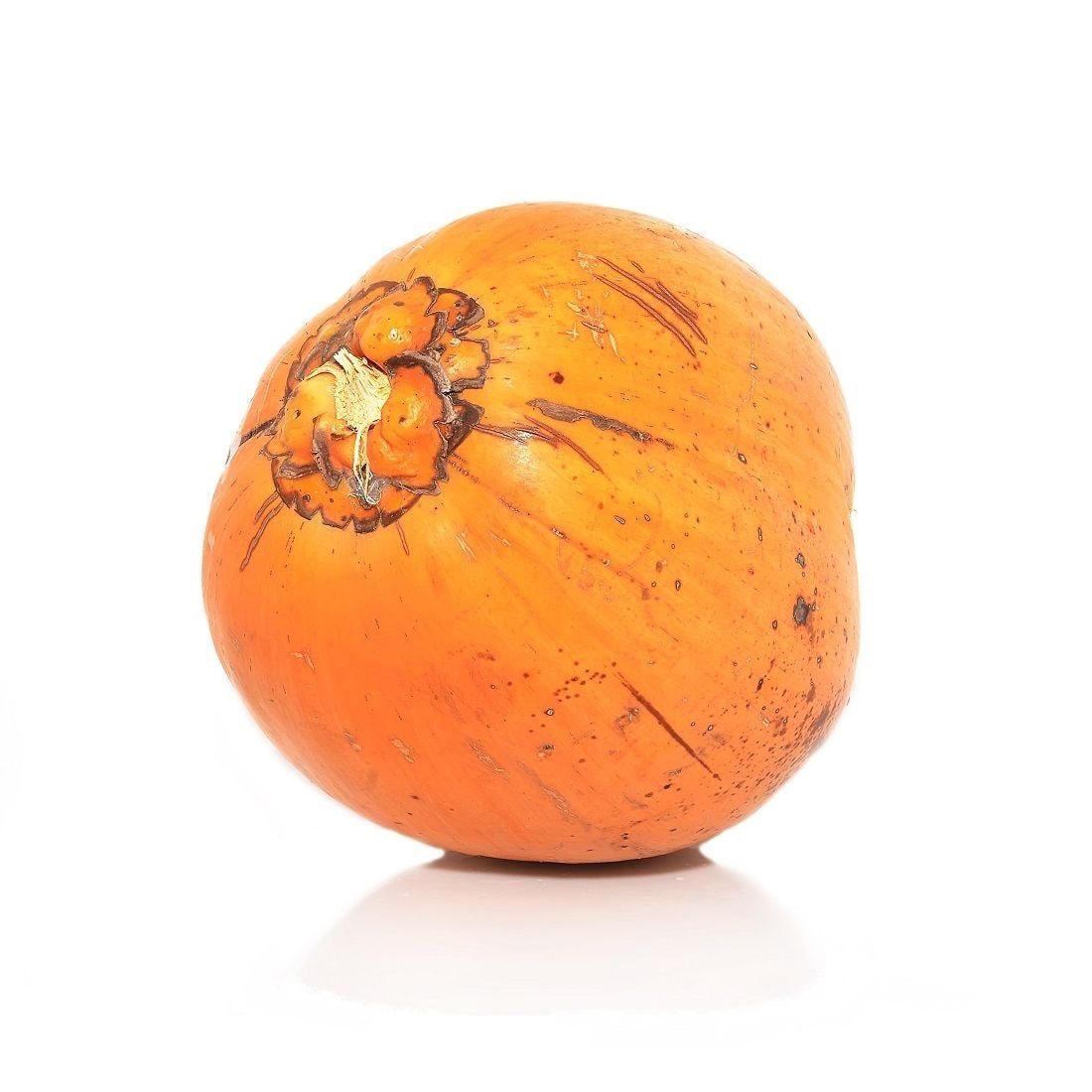 King Coconut (Sri Lanka) ‘red dwarf’