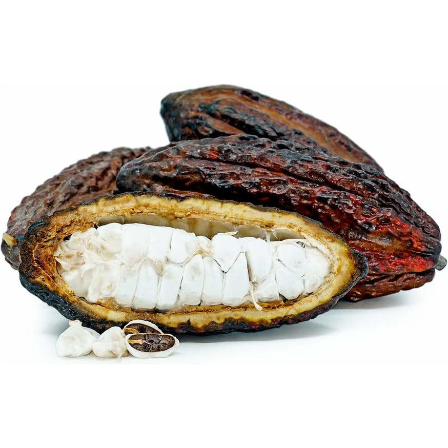 Buy Fresh Ecuadorian Cacao Pod (Raw) | Nutrition Kingz Exotics Ltd.